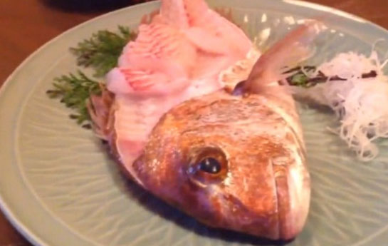 Half-eaten fish comes back to life, jumps on plate – Boston 25 News