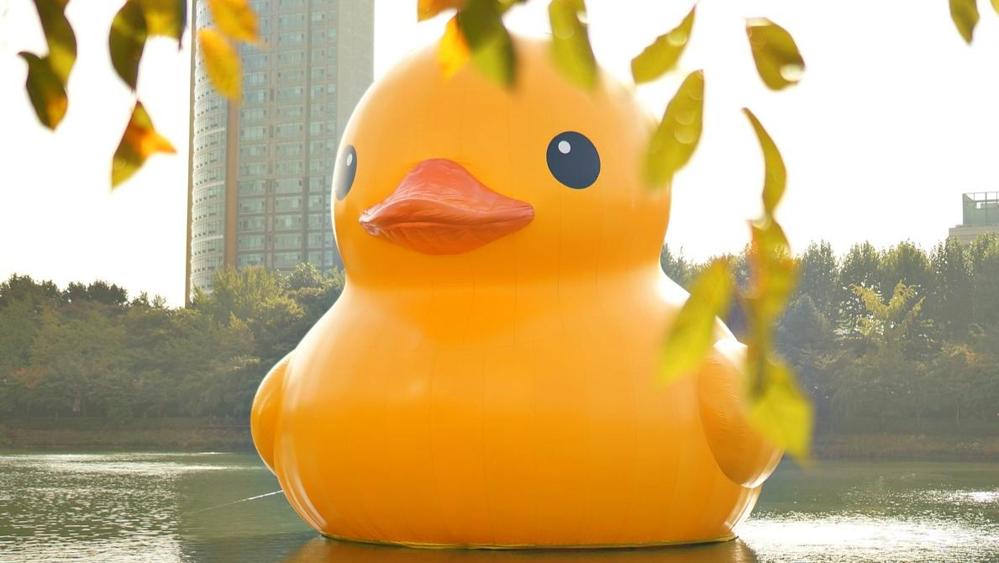 Giant inflatable duck named Quacky bounces down street in Iowa – KIRO 7 ...