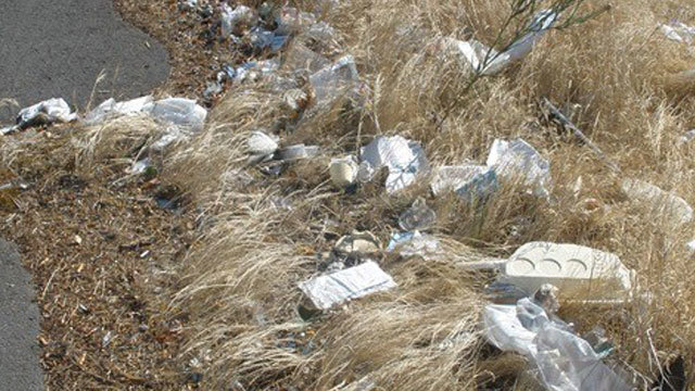 Woman seen littering in parking lot cited after video goes viral – KIRO ...