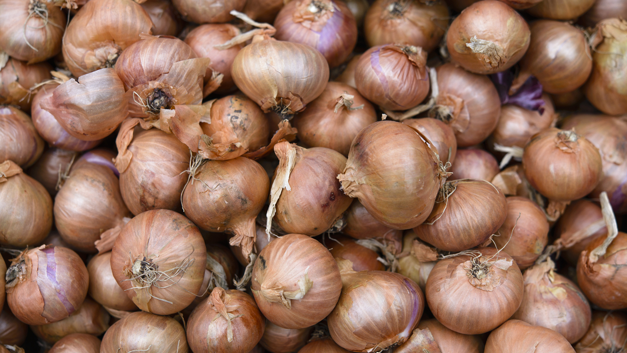 Florida cop hands out onions, not tickets, to speeding drivers – Boston ...