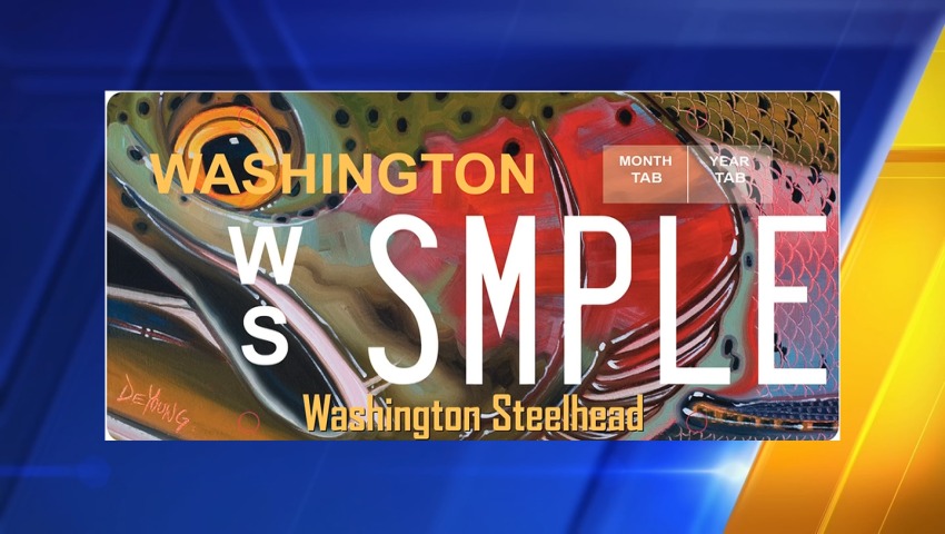 New steelhead license plates now on sale