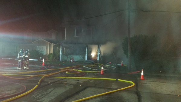 Person killed, dog injured in Renton fire – KIRO 7 News Seattle