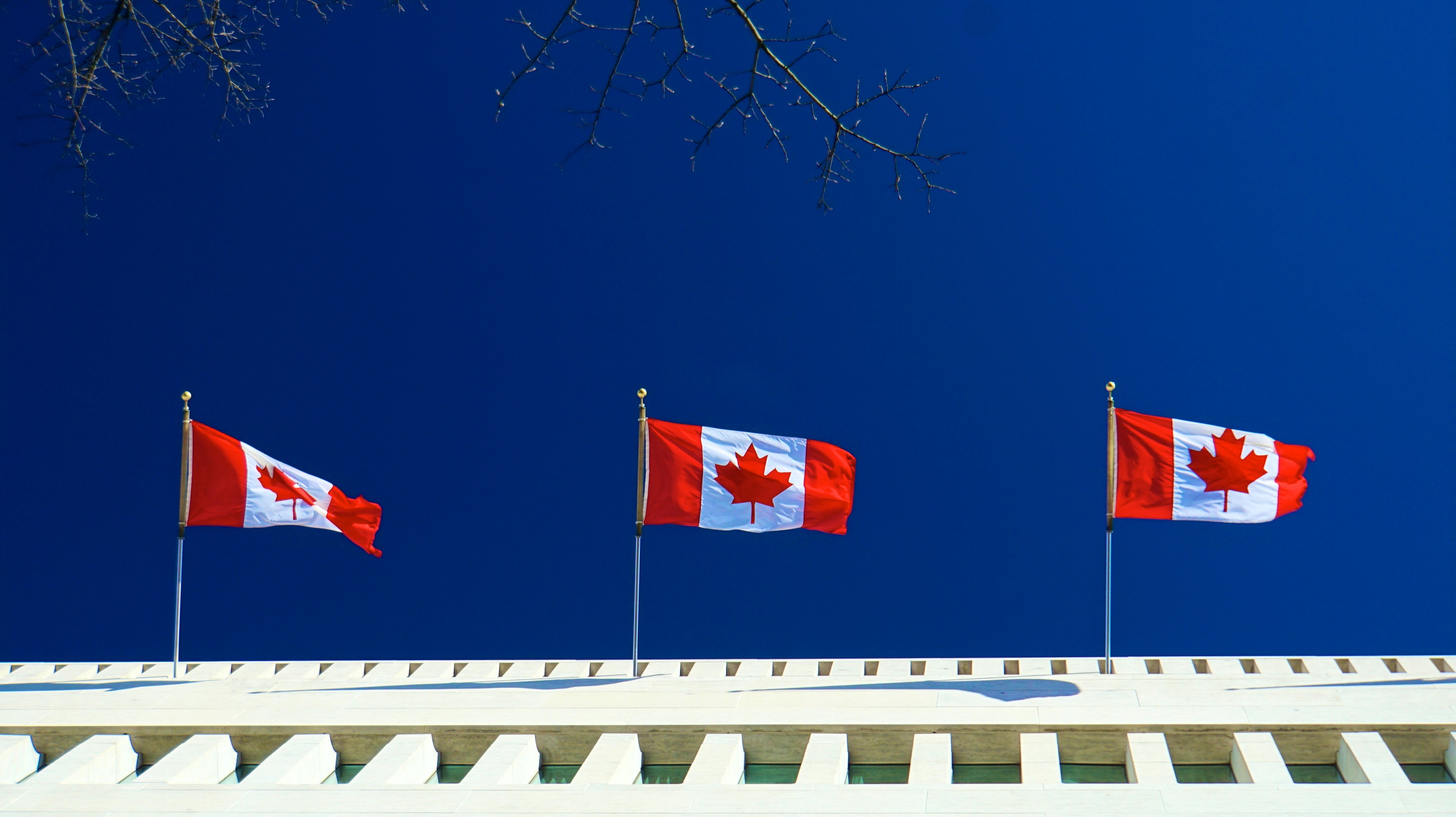 Canadians invite California, Oregon, Washington to secede from US – WSOC TV