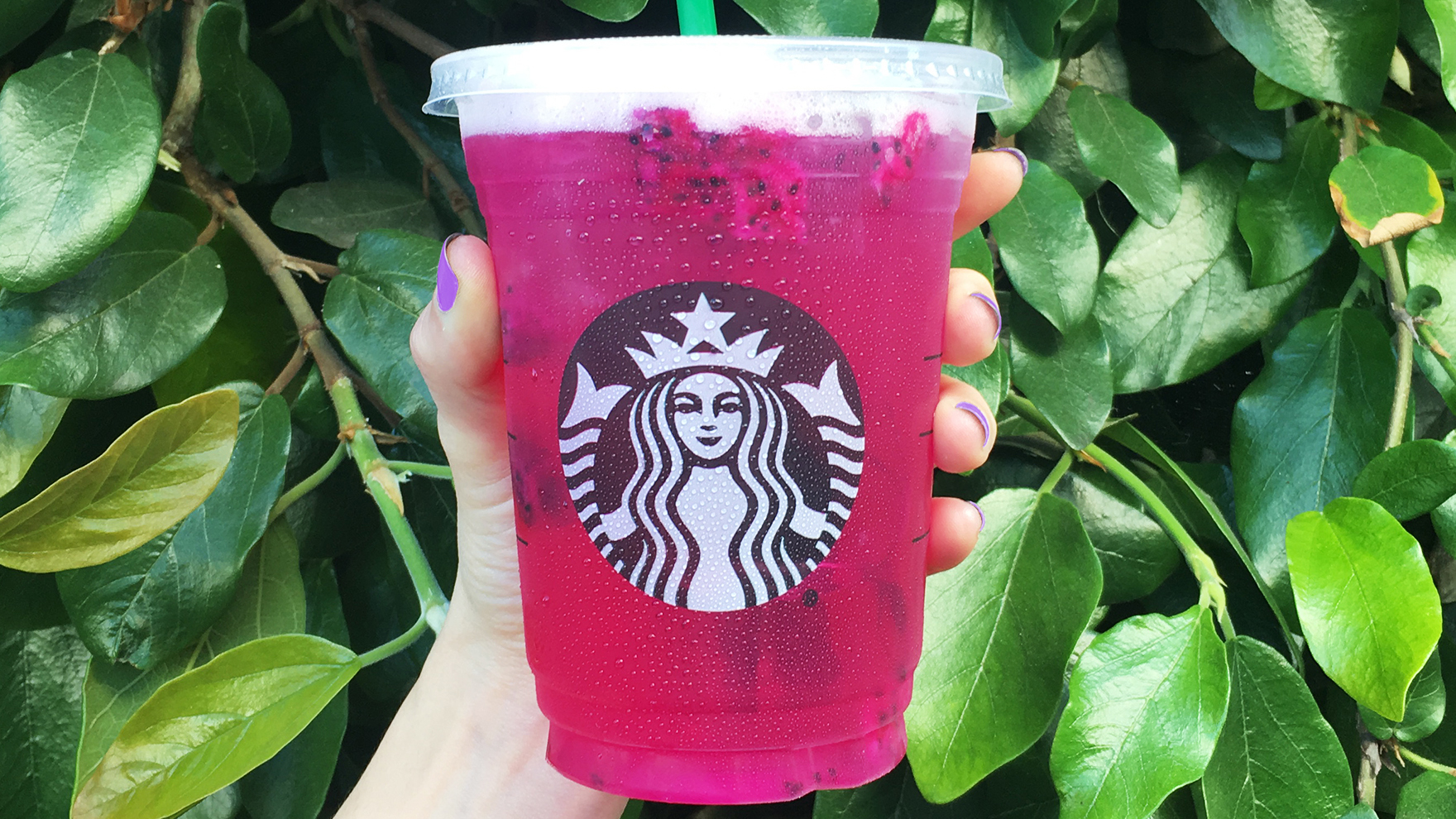 Bebida Rosa De Starbucks