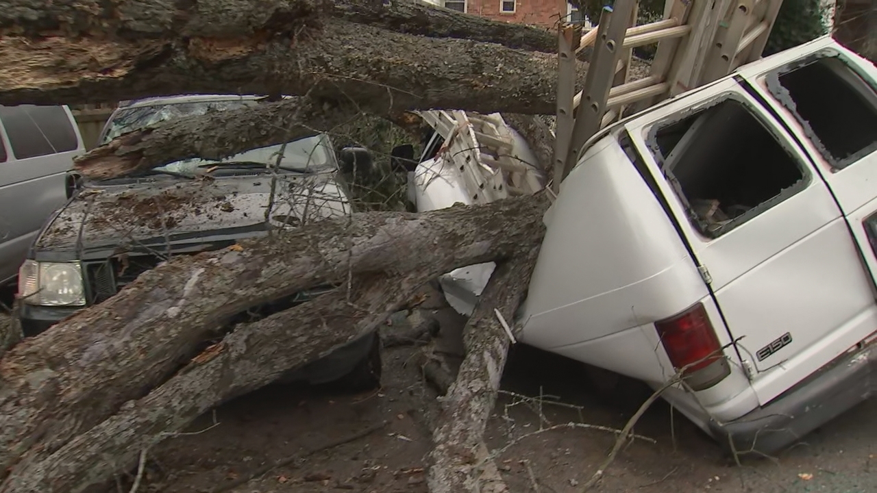 PHOTOS: Huge tree falls on cars in Cotswold neighborhood – WSOC TV
