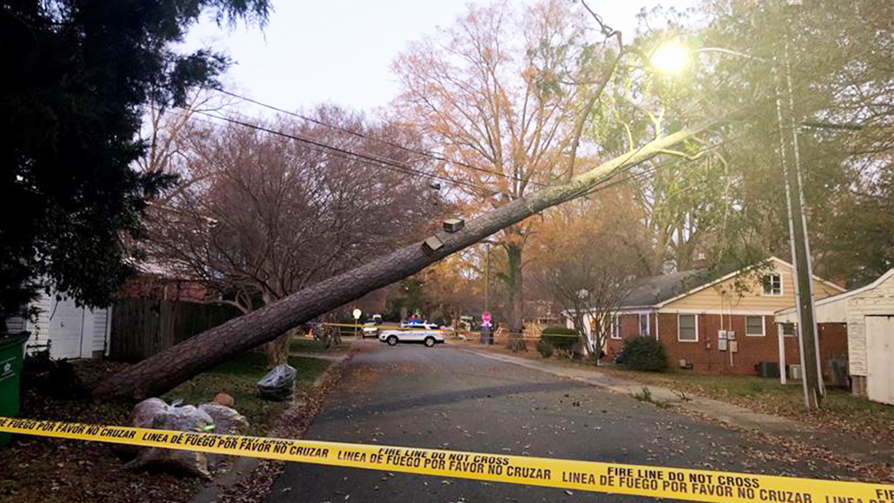 Massive tree falls on power lines, shuts down road near Elizabeth – WSOC TV
