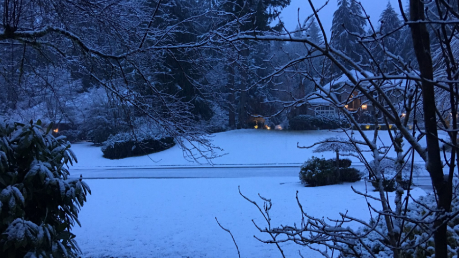 Spotty snow showers reported in Seattle area – KIRO 7 News Seattle