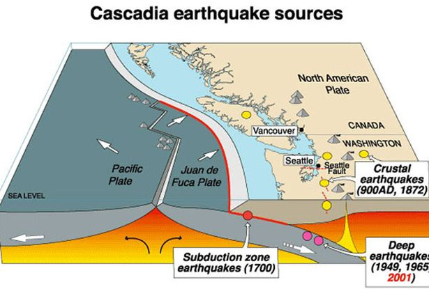 ‘Subduction zone surges' article is misleading, northwest experts say ...