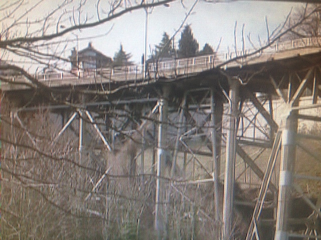 Seattle takes step toward eventually replacing troubled Magnolia Bridge