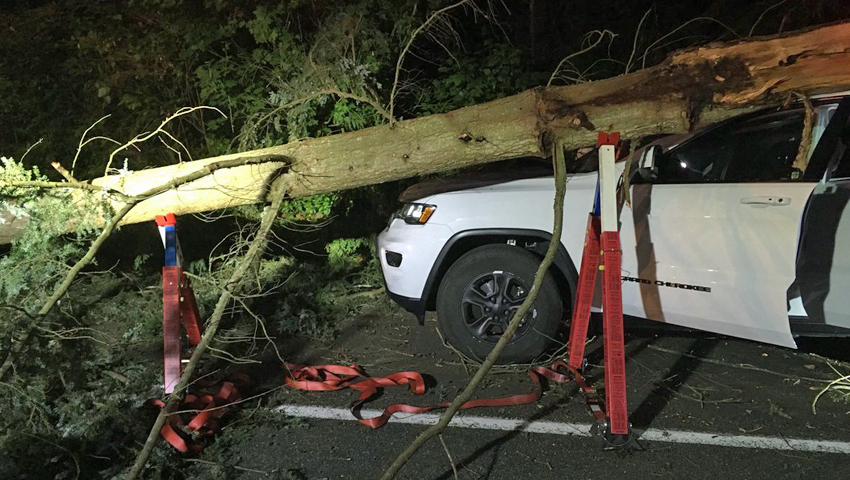 Driver trapped when tree falls on top of SUV – KIRO 7 News Seattle