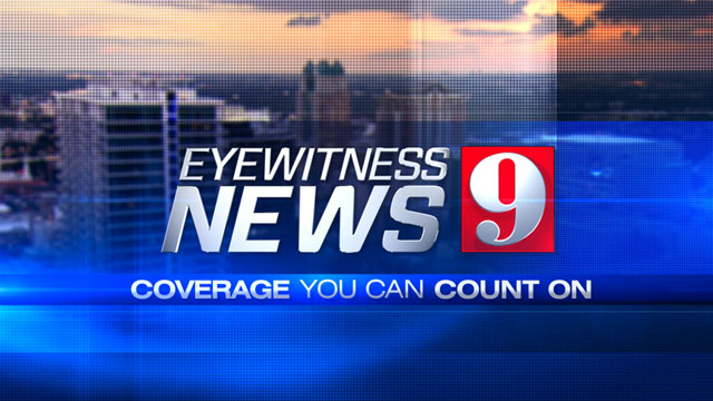 Pedestrian killed in traffic crash in DeBary