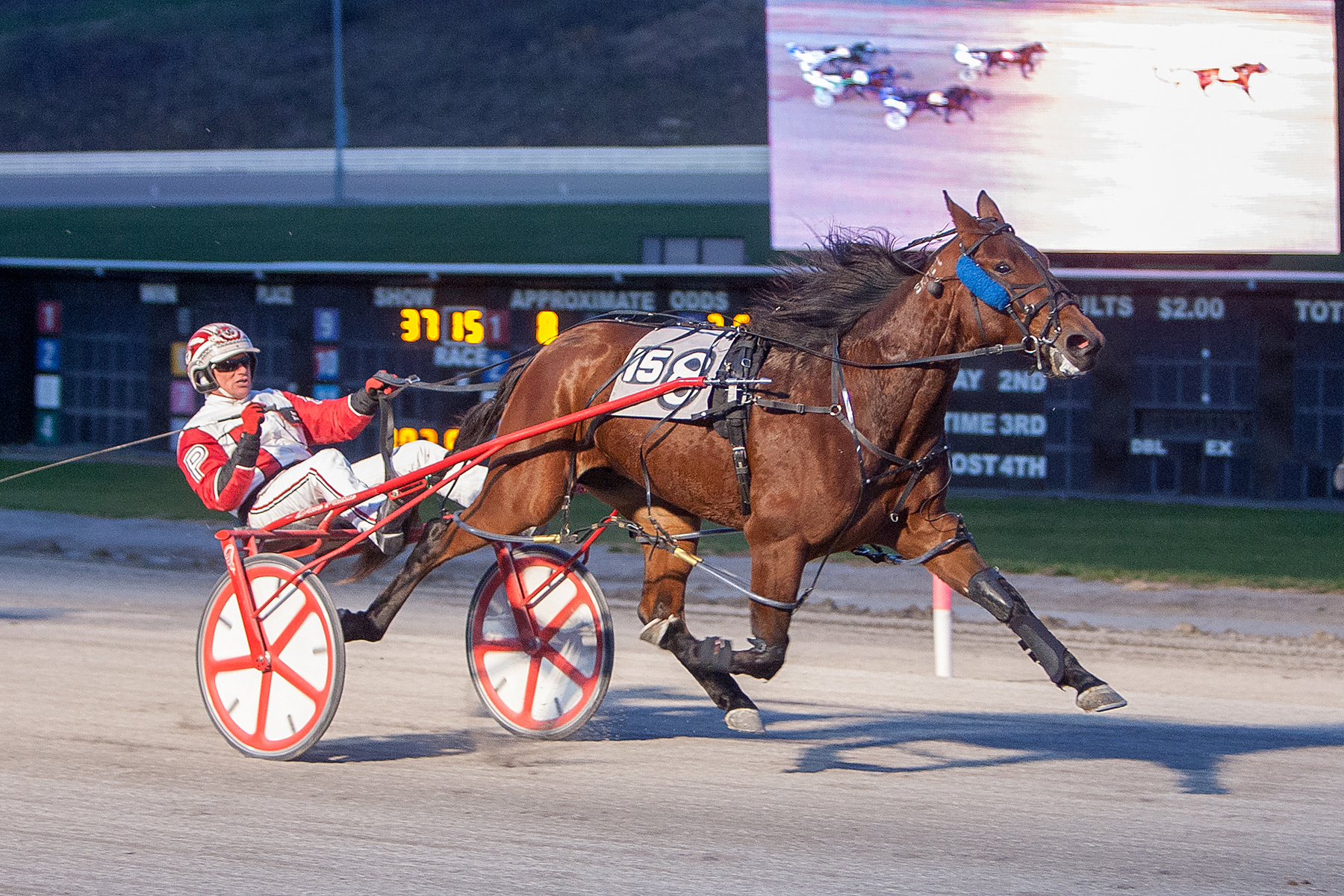 Local harness racing driver breaks world record at Meadows Racetrack ...