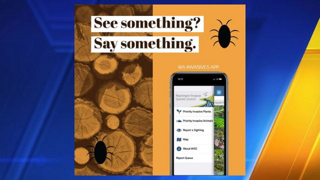 New app allows Washington state residents to report invasive species ...