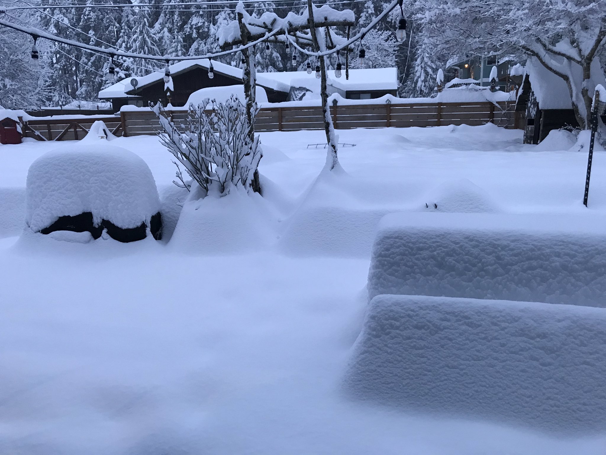 PHOTOS: Snow piled high in Port Angeles – KIRO 7 News Seattle