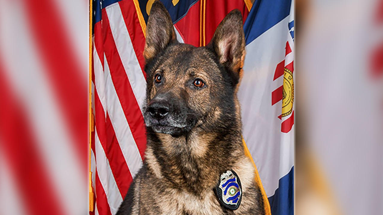 Hickory Police Department mourning unexpected death of K-9 Rony – WSOC TV