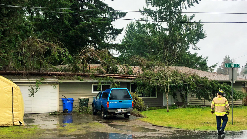 Tree falls on house in Lacey amid strong winds – KIRO 7 News Seattle