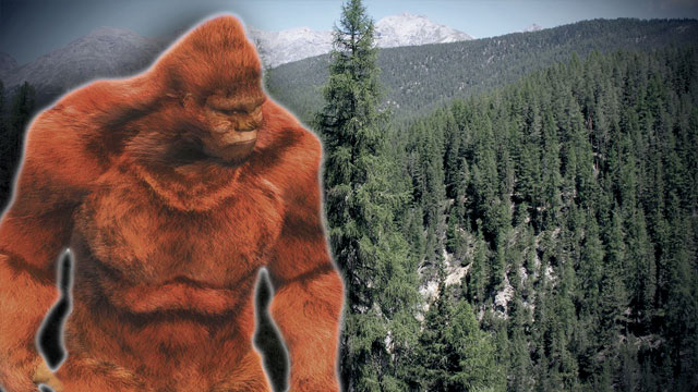 Bill would make Sasquatch 'official cryptid' of Washington
