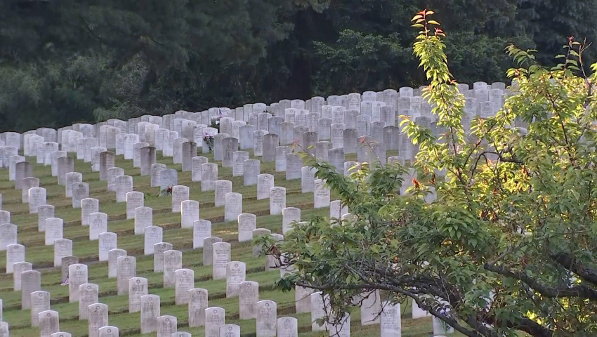 Fallen veterans being remembered at Seattle cemetery – KIRO 7 News Seattle