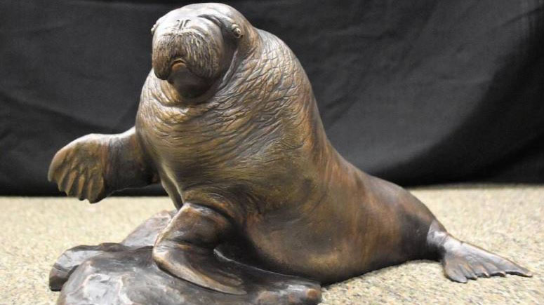 E.T. the walrus coming back to Point Defiance Zoo as statue. See him in ...