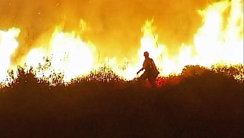 Wildfire near Shelton now 40 percent contained