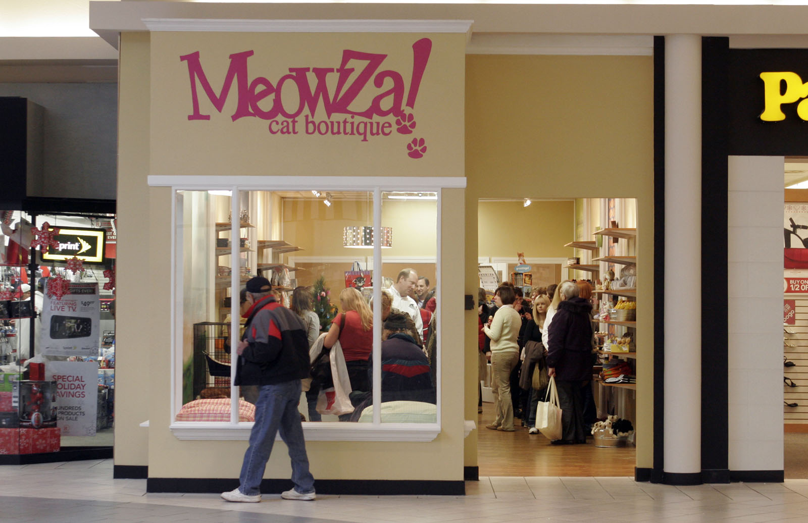 MeowZa cat boutique, humane society shelter close due to coronavirus ...