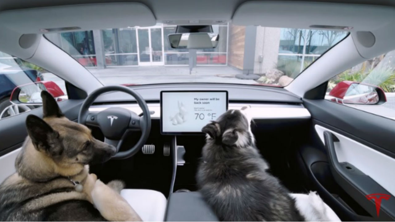 Tesla adds Dog Mode to Model 3 – WPXI
