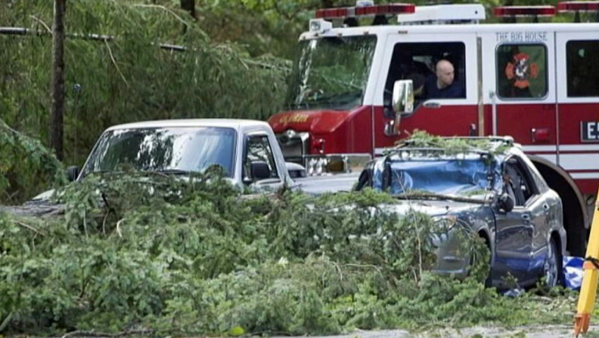 Family of man killed by falling tree sues 8 companies – KIRO 7 News Seattle