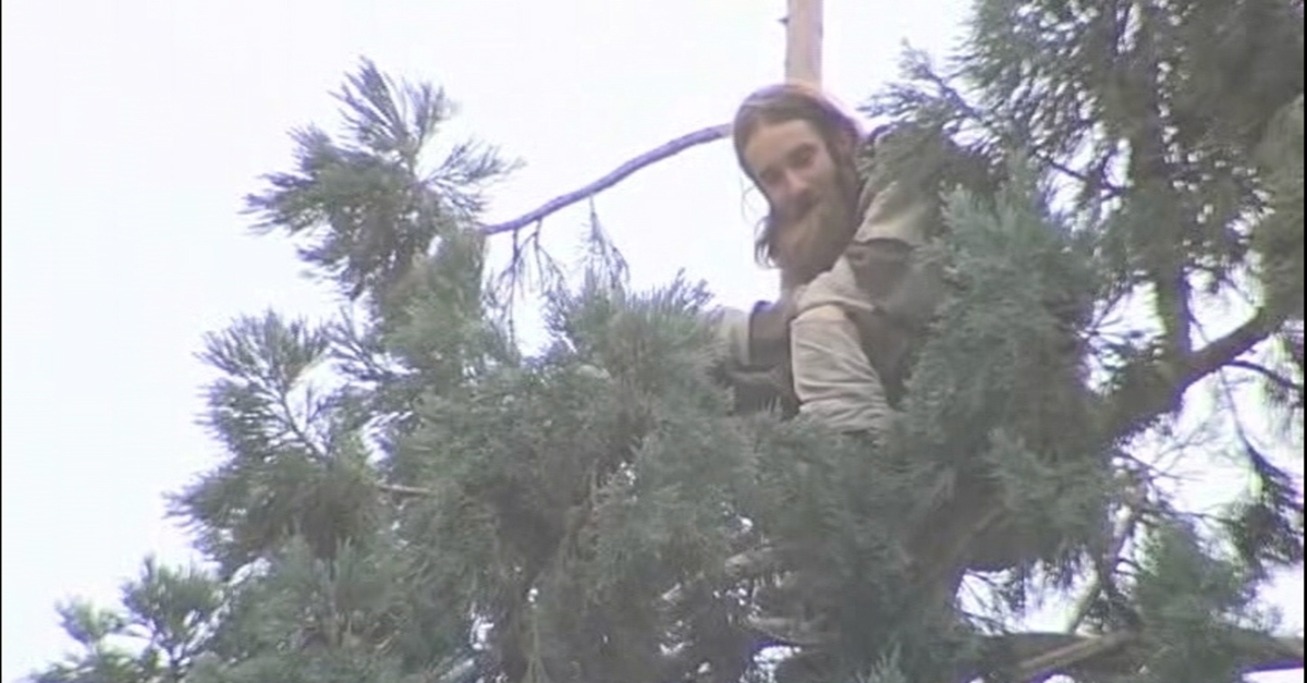 Man who climbed 80-foot tree in Seattle finally comes down.